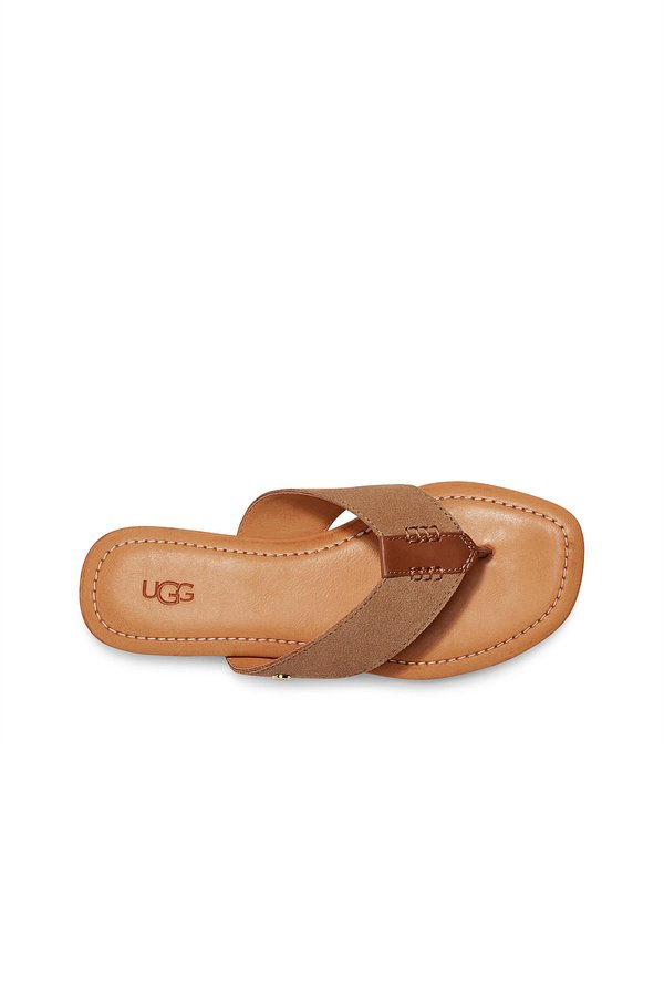 Ugg어그 For Women 베이직 쪼리 슬라이드 캐리 플립 Sivillage 에스아이빌리지